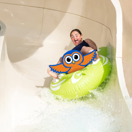 Summer is Fun Again with Onvo + Born and Raised • Born and Raised